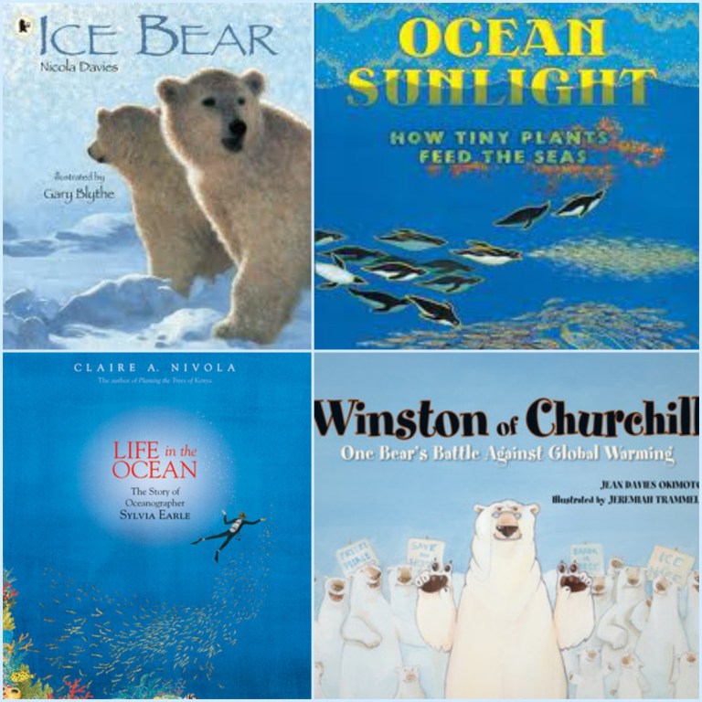 Ocean wonders: twenty nonfiction picture books about sea life | There's ...