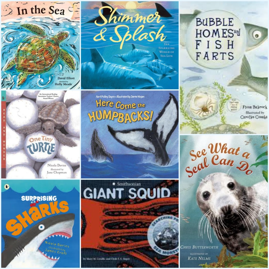 Ocean wonders: twenty nonfiction picture books about sea life | There's ...