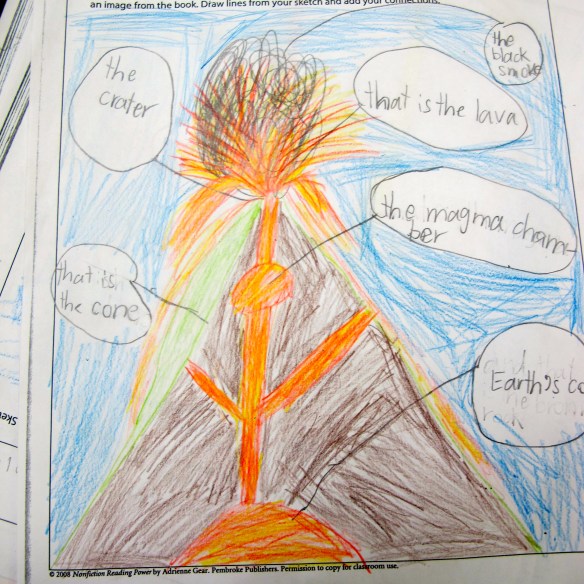 Teaching with a Passion for Nonfiction Books: Part 2 | There's a Book ...